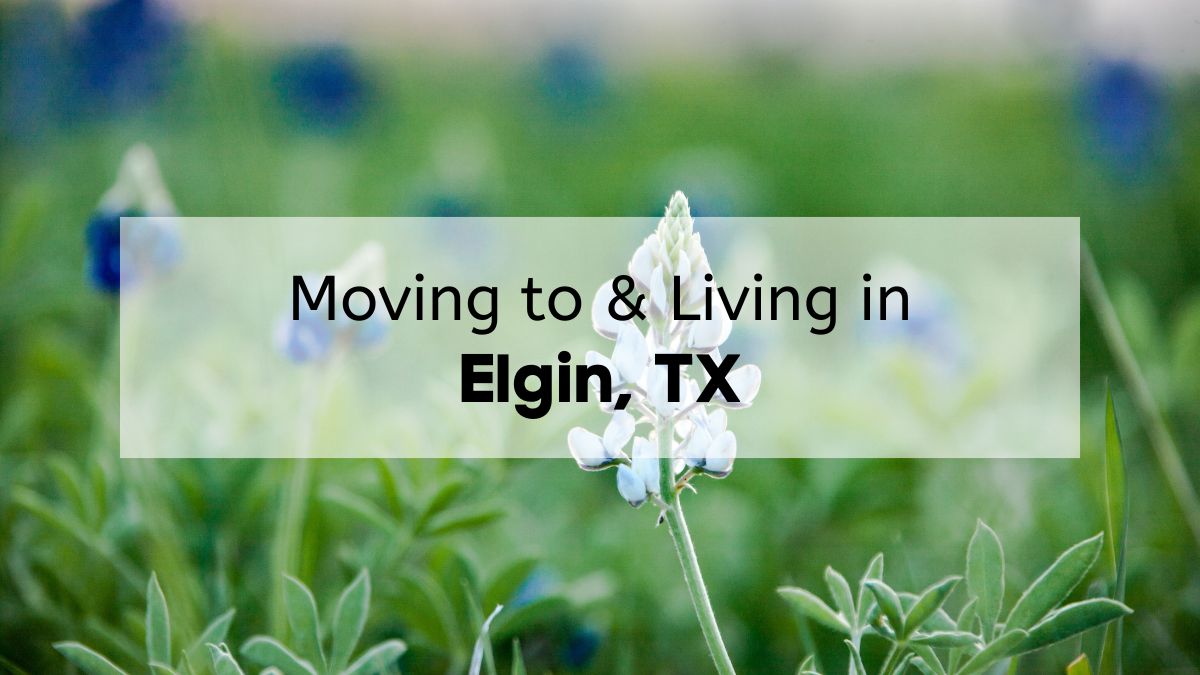 Living in Elgin TX 🤠 | What to Know Before Moving to Elgin - Unicorn Moving